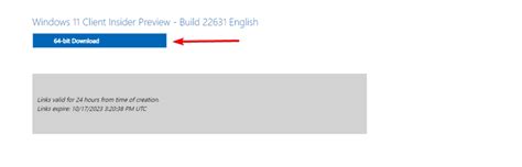How To Download And Install The Windows 11 23H2 Official ISO NEXTOFWINDOWS COM