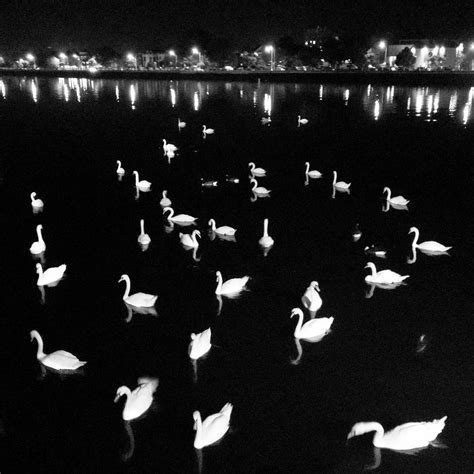 Nonstop Photos Семён С Без названия