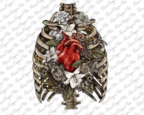 Rib Cage Heart Drawing Clipart