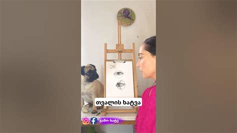 დავხატოთ თვალი ხატვისგაკვეთილები ცირასხატვისგაკვეთილები თვალი Youtube