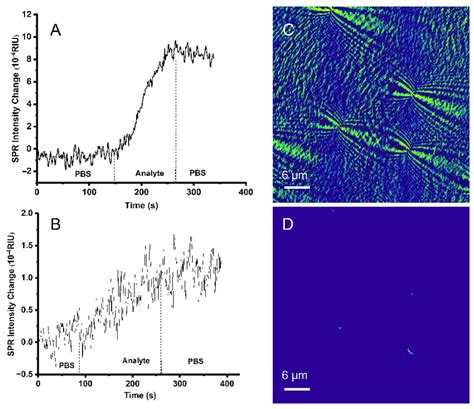 Transferrin Specific Binding Experiment A Binding Curve Of Download Scientific Diagram