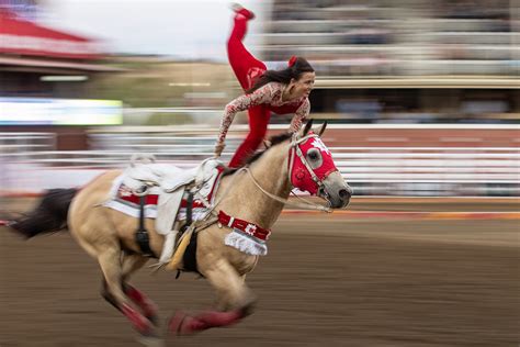 Whats On At The Stampede Day 2 July 8 Stampede Weekend Livewire