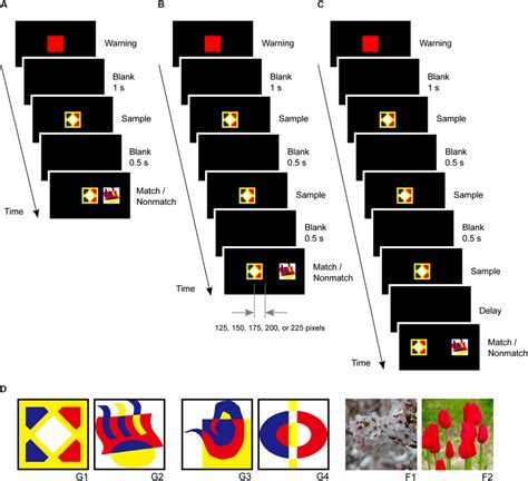 delayed matching to sample task and visual stimuli a after the