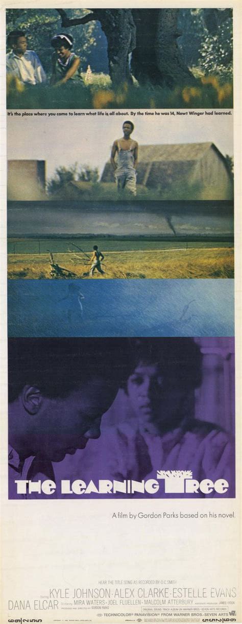 The Learning Tree Poster 14x36 1969 Insert Style A