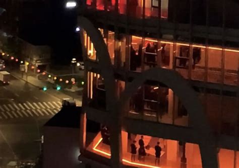 명품보다 인품이 먼저…서경덕 구찌 민폐 파티 일침 디스패치 뉴스는 팩트다