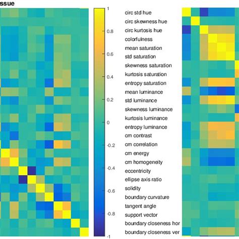 Frangi Filter And Masking Steps Both Use The Enhanced Image As Input