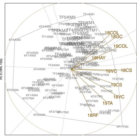Genotype Plus Genotype × Environment Gge Biplot Based On Grain Yield Download Scientific