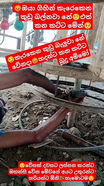 😌හැදෙන හැට් දැකලා නෑනේ🔴වේසක් දවස ලස්සනට තියෙන්ට කන කට්ට මේන්🥺එදාට ලස්සනට තියෙයි හැබයි🇱🇰
