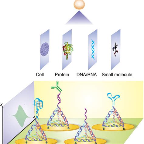 Pdf Electrochemical Detection Of Nucleic Acids Proteins Small