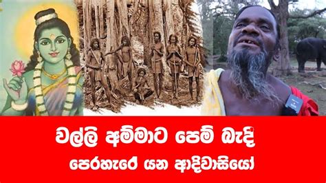 වල්ලිඅම්මාට බැදි පෙරහැර පෙම් කතාව Youtube