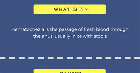 Findatopdoc Blog What Is Hematochezia Symptoms And Causes