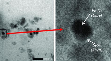 TEM Profiles Of Fe3O4 A SiO2 Core Shell Download Scientific Diagram