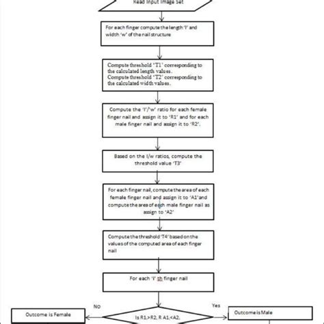 Diagrammatic Representation Of The Flow Of Logic For Gender Detection Download Scientific