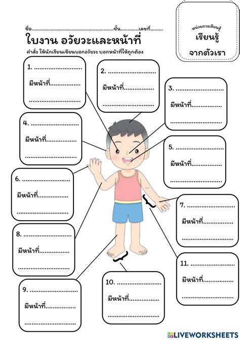 อวัยวะภายนอก ป 1 Worksheet สุขศึกษา การสอน ห้องเรียนวิทยาศาสตร์