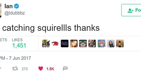 Just Catching Squirrels Thanks Album On Imgur