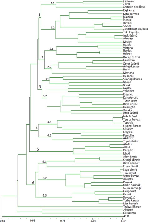 Unweighted Pair Group Method With Arithmetic Average Dendrogram Of The