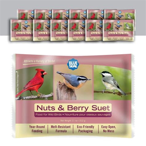 Blue Seal Outdoor Suet Cakes Nuts And Berry For Wild Birds 11oz Pack