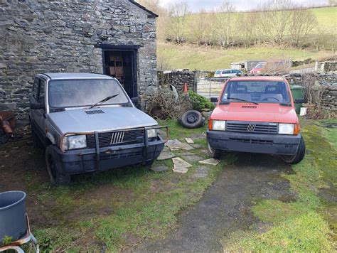 Roast My Pandas They Are Multiplying Send Help Rroastmycar