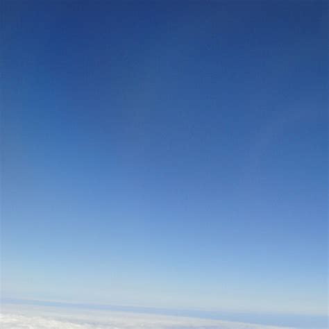 Sofia Verissimo Professor Instituto Politécnico De Portalegre