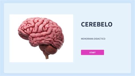 FIND THE PAIRS Genially