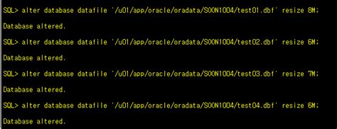 Datafile Resize Dba의 정석