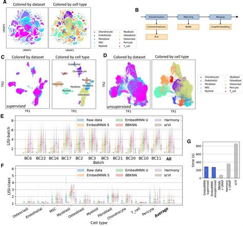 integration of 11 osteosarcoma scrna seq datasets n 64 557 from