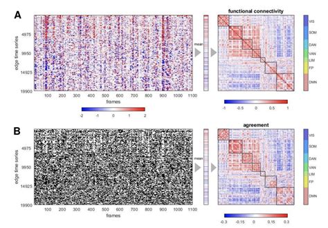 Code Resources Brain Networks Behavior Lab