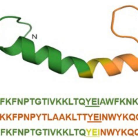 Predicted Structure And Amino Acid Sequence Of The Hybrid Bacteriocin Download Scientific