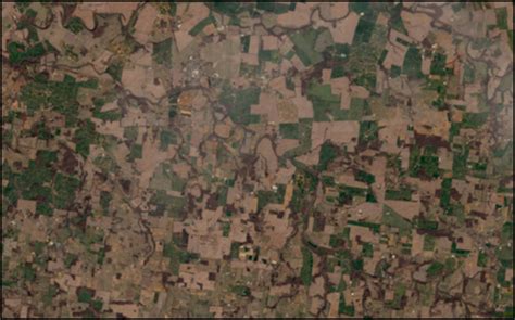 How To Create An NDVI Map In ArcGIS Pro