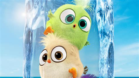 Cute Angry Birds Wallpapers Top Free Cute Angry Birds Backgrounds