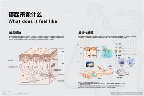 触觉感知触觉传感器科技馆图文版设计图学习用品生活百科设计图库昵图网