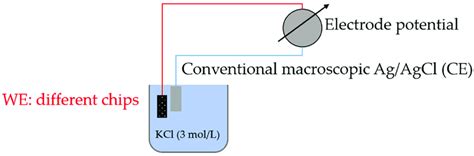 Schematic Representation Of The Open Circuit Potential Ocp Download Scientific Diagram