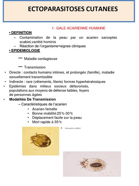Solution Ectoparasitoses Cutanees Studypool