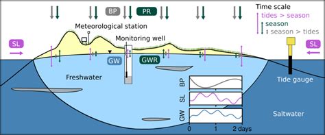Conceptual Model Of Groundwater Level Fluctuations Gw On A Coastal Download Scientific