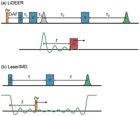 Mr The Effect Of The Zero Field Splitting In Light Induced Pulsed Dipolar Electron