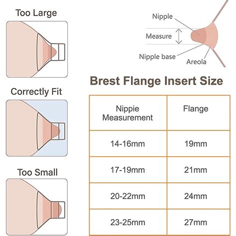 Flange Size Poster Handout Breast Anatomy Lactation OFF