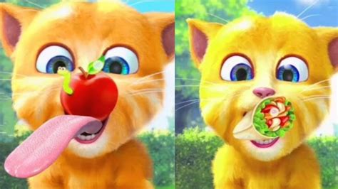 Talking Ginger 2 Funny Videos 🍒🍓🍎🌶️🍕🍉ll Game Ll Youtube