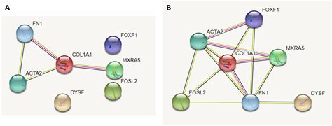 Combined Single Cell Bulk Rna Sequencing And Proteomics Analysis