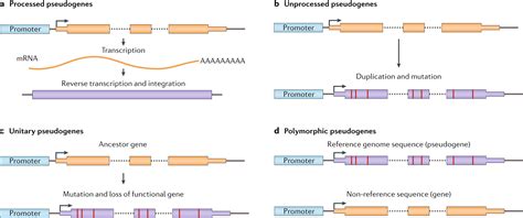Gene Expression News Articles Stories And Trends For Today