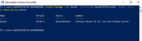 Docker Containers Windows Server 2019da Nasıl çalıştırılır Serkan