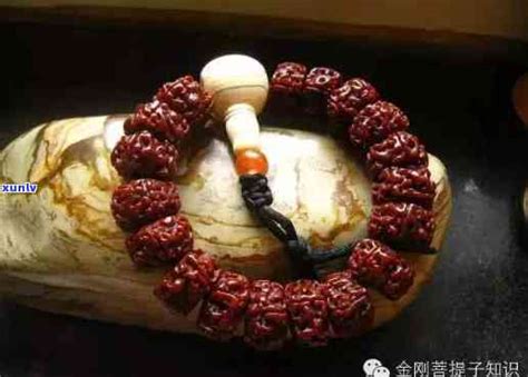 探究金刚菩提手串的神奇功效除了装饰它还有哪些用途 翡翠 邮箱网