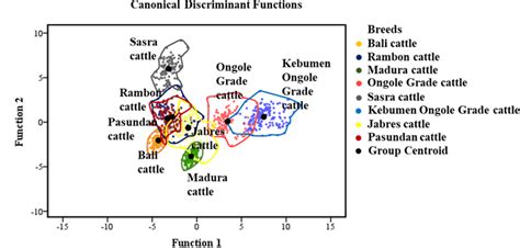 Classification Of Indonesian Cattle Based On A Canonical Discriminant Download Scientific