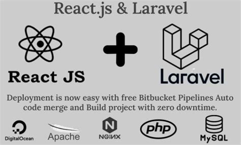 Deploy React Js And Laravel Project With Ci Cd Pipeline By Ali Nawaz Fiverr