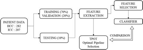 Workflow For Classification Analysis Download Scientific Diagram