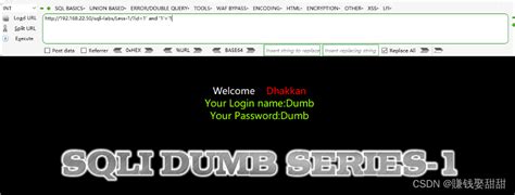 网络安全——sql注入漏洞 Csdn博客