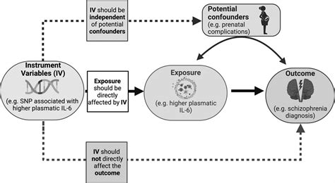 Applications Of Mendelian Randomization In Psychiatry A Com Psychiatric Genetics