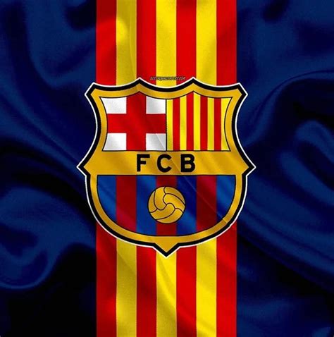 ვეძებ მასწავლებელს იპოვე მასწავლებელი გთავაზობთ მომზადებას