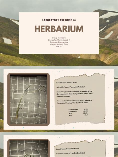 Laboratory Exercise 5 Pdf Botany Plants