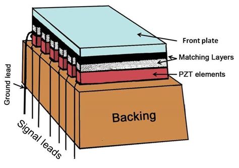 Linear Transducer Array Download Scientific Diagram