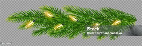 투명한 배경에 전나무 가지에 빛나는 조명과 함께 현실적인 크리스마스 화환 축제 축하 행사 휴일 배너 새해 크리스마스 인사말 카드